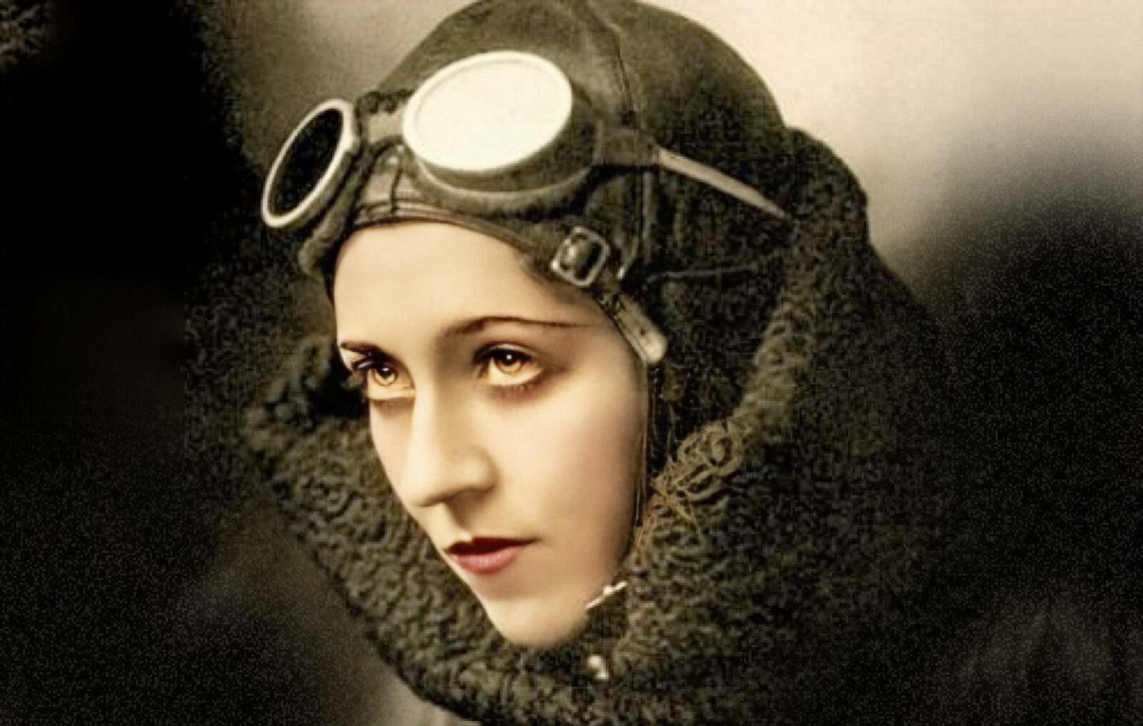Moths are the new Toads – Neill & Brown remembers Amy Johnson | Neill ...